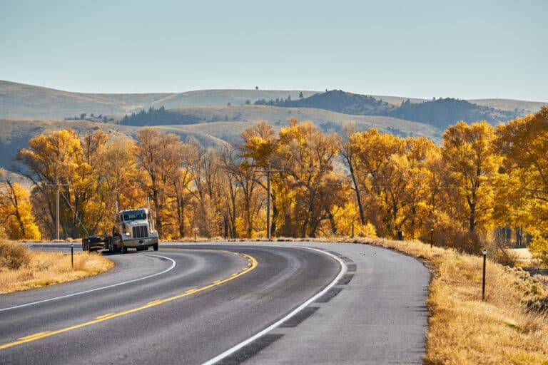 Road Accidents | Causes, Effects and FAQs